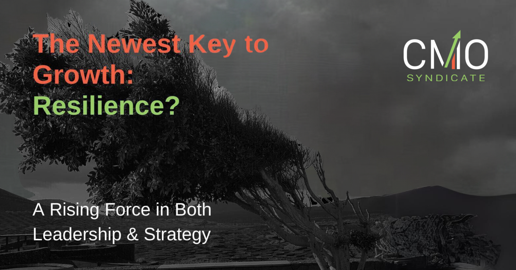 The Newest Key To Growth: Resilience?